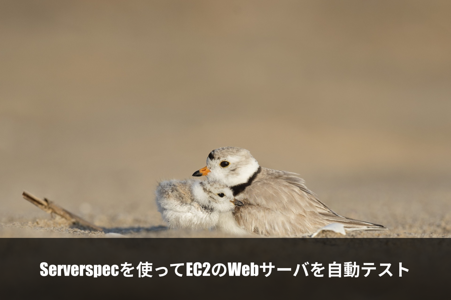 ServerSpecの使い方をインストールから解説!EC2のWebサーバを自動テスト | HITOログ