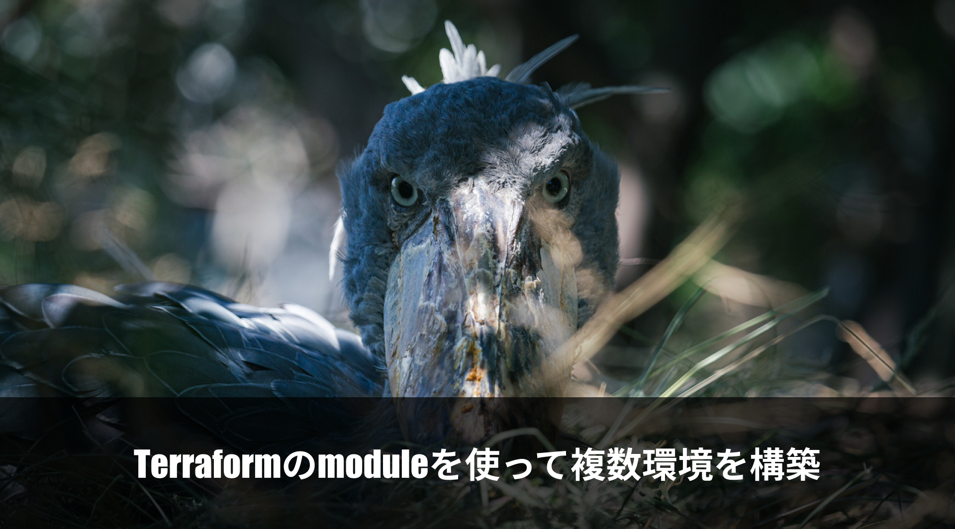 terraform module の使い方】EC2の構築をしながら解説します | HITOログ